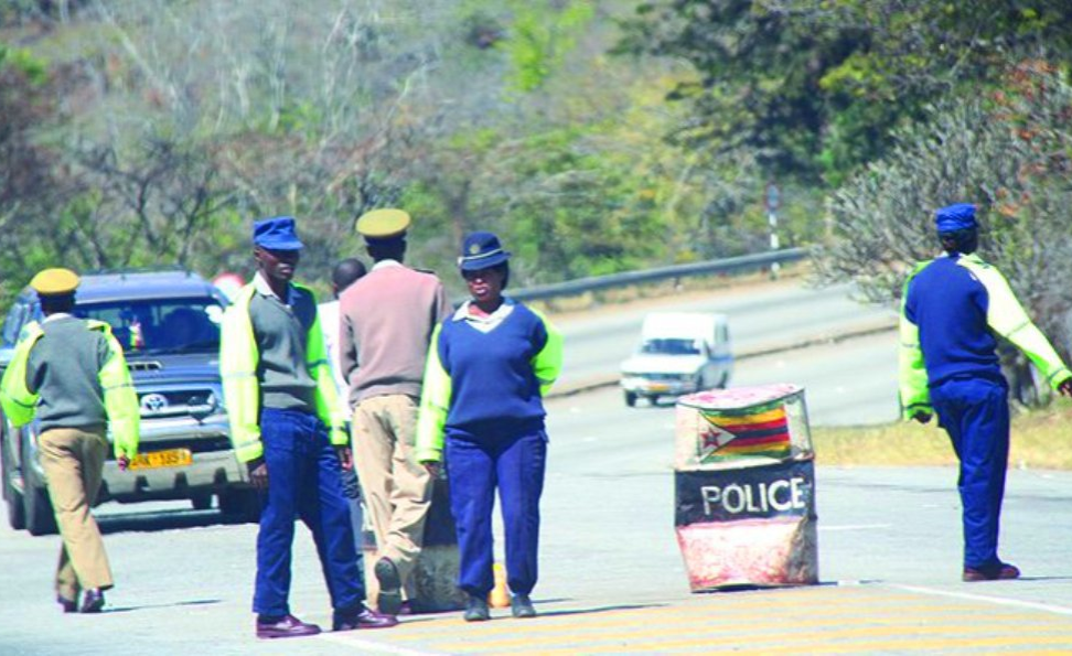 Zimbabwe: Police Scrap Spot Fines, Reduce Roadblocks - allAfrica.com